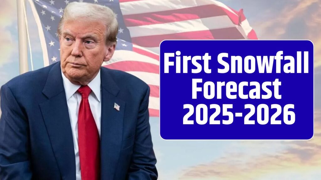 SNAP Benefit Changes as Government Shuts Down – How Will Food Stamps Be ...